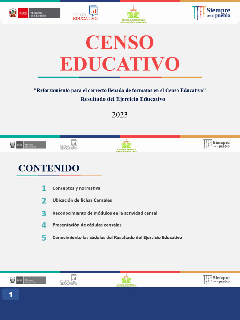 Manual de Censo Resultado Del Ejercicio 2023 | PDF | Estadísticas