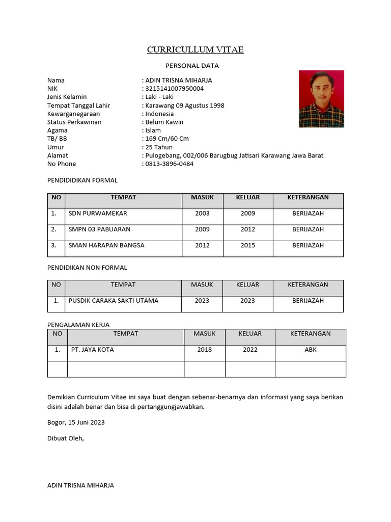 CV - Adin Trisna | PDF