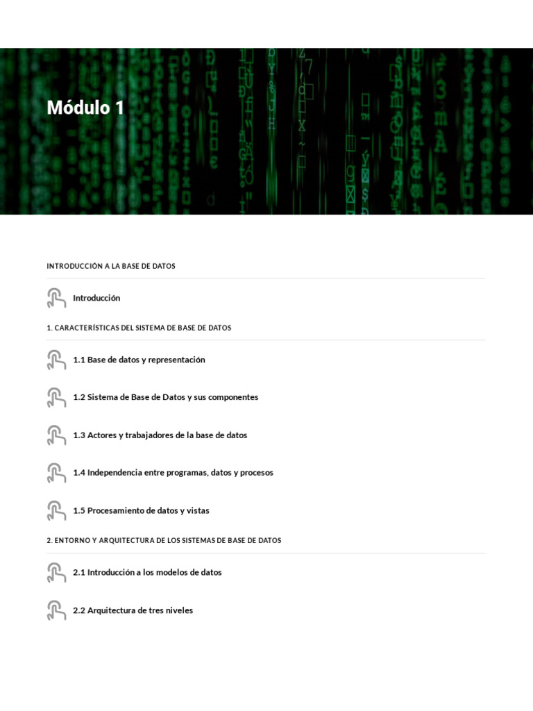 Módulo 1 Base de Datos | PDF | Bases de datos | Usuario (informática)