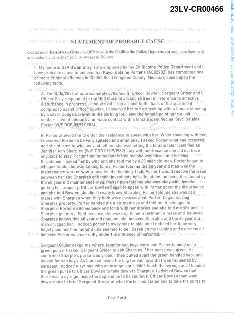 Kayci Delaine Porter PC | PDF