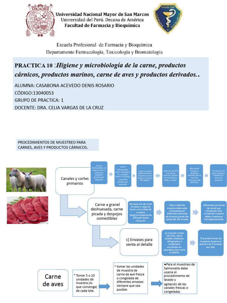 Esquema 10 | PDF | Carne | Platos con carne