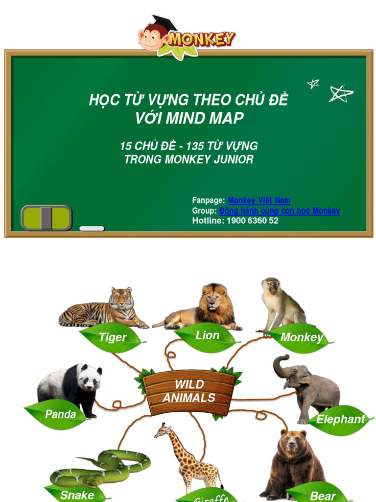 Animal Vocabulary Mind Map for Kids | PDF