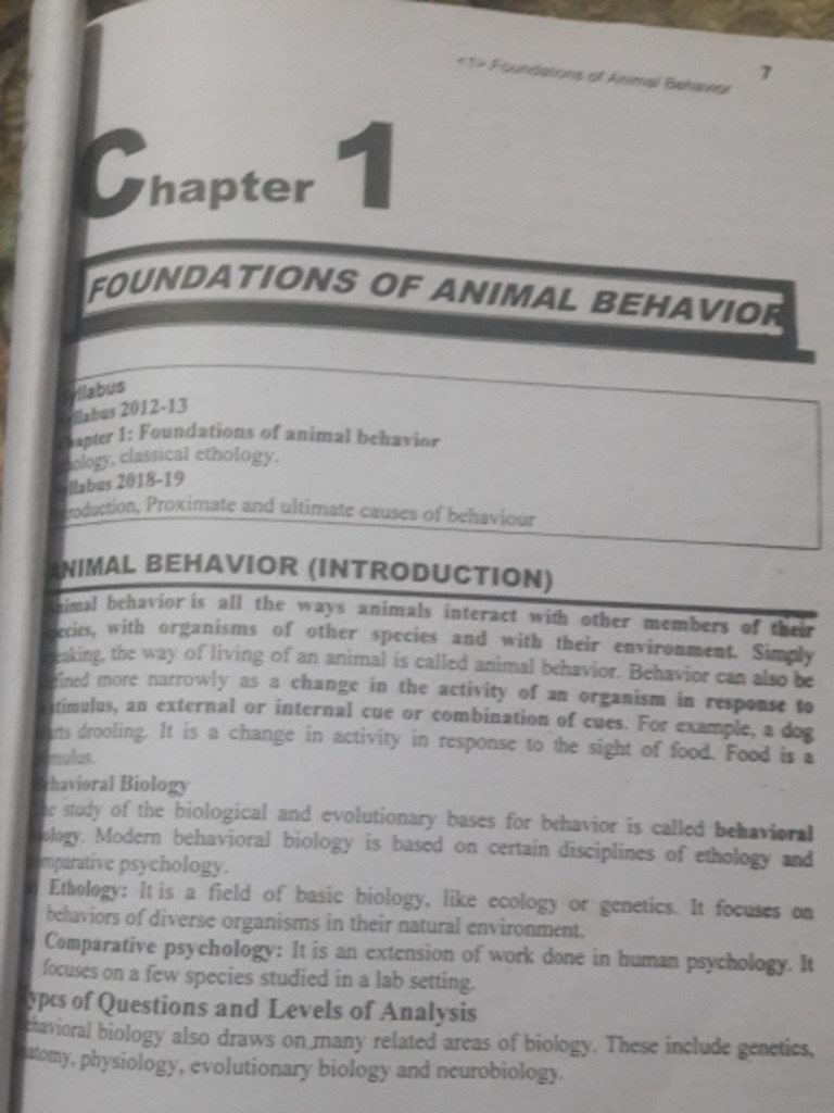 Animal Behaviour | PDF
