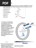 Acronistina | PDF | Medicamentos con receta | Efecto adverso