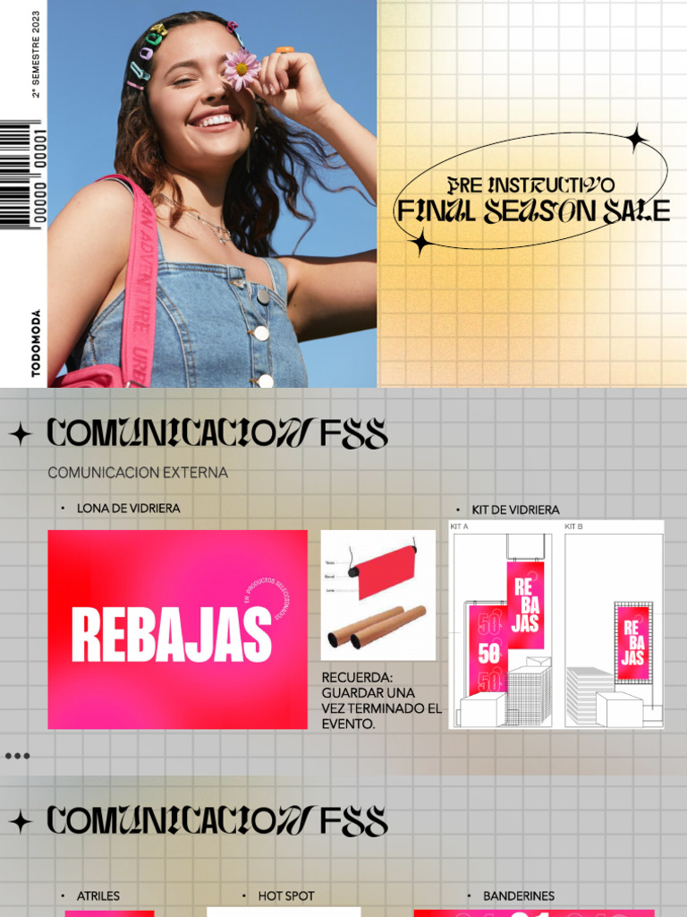 Pre Instructivo FSS CL | PDF