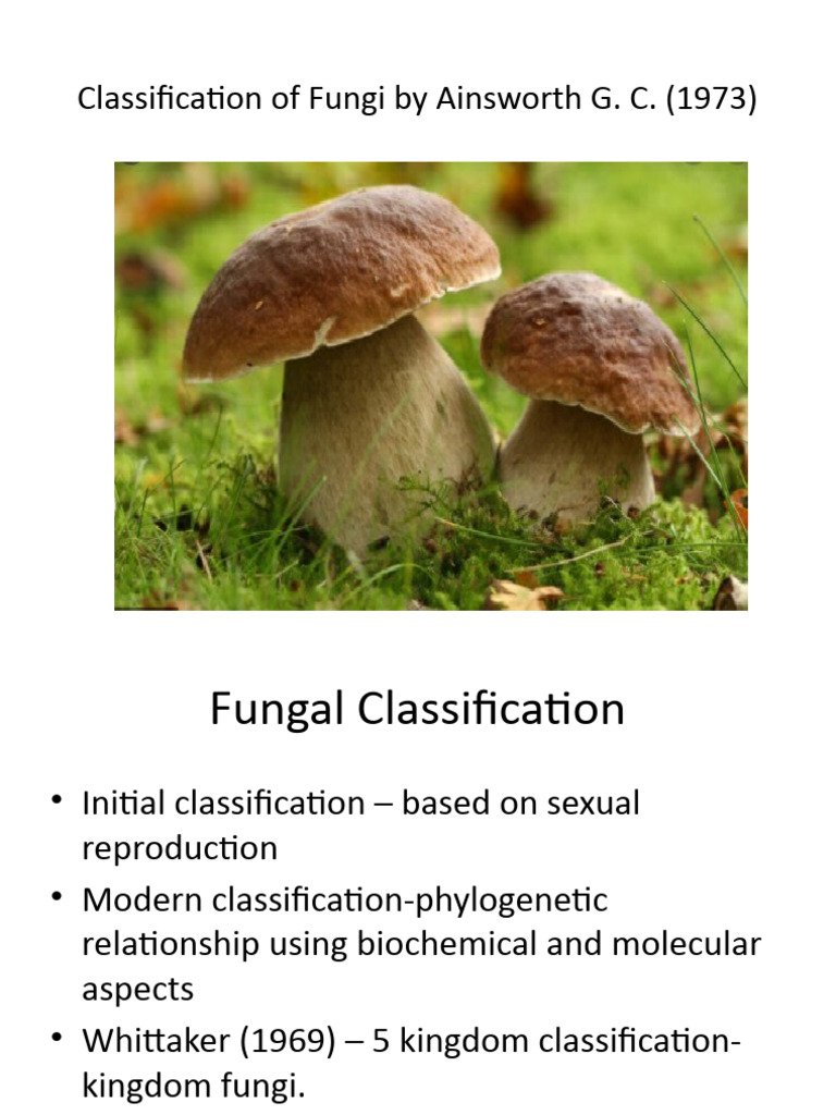 Classification of Fungi by Ainsworth G by Akanksha | PDF | Fungus ...