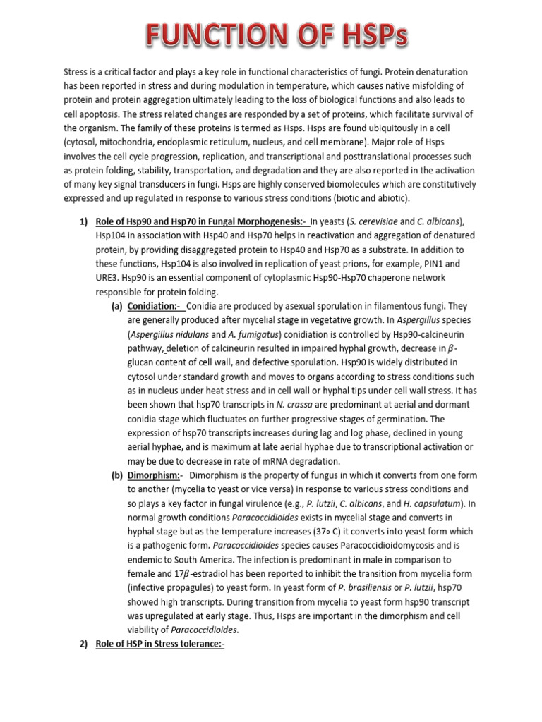 Function of Hsps | PDF | Chaperone (Protein) | Molecular Biology