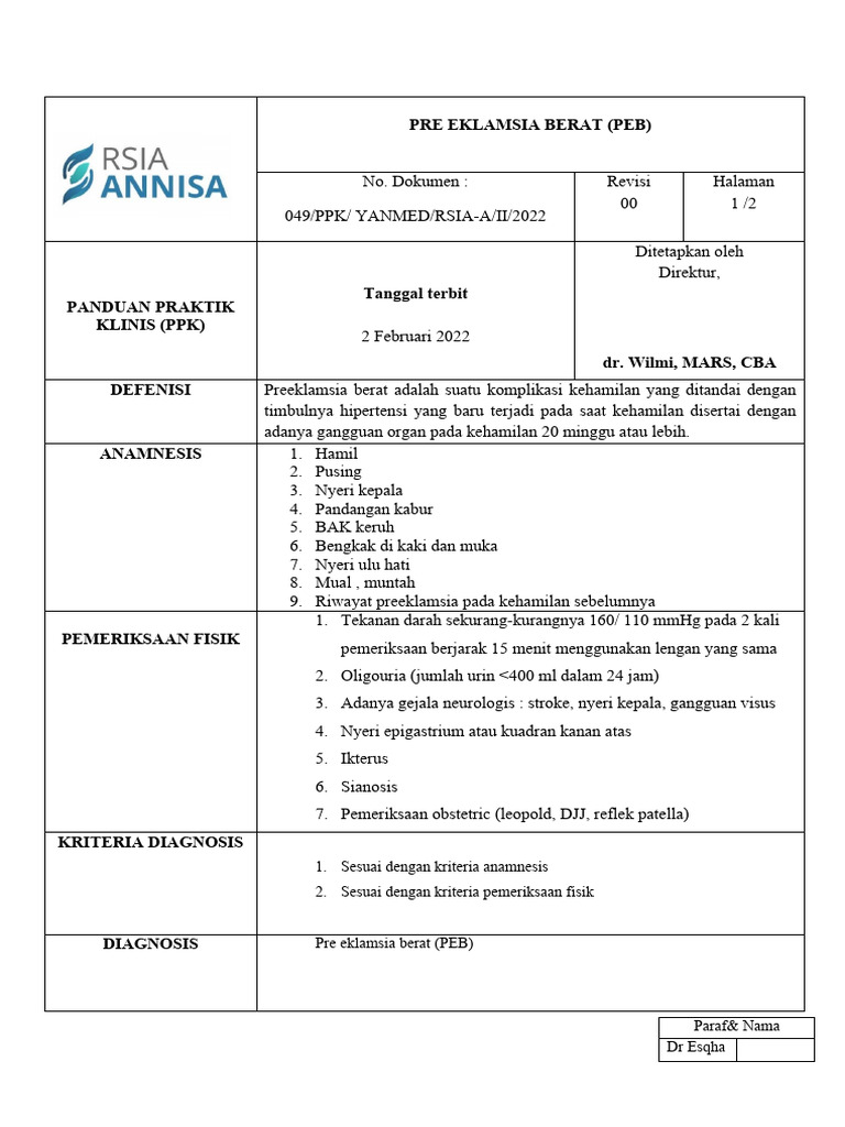 049 PPK PRE EKLAMSIA BERAT | PDF