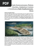 Lepisosteiformes: Peces Primitivos y Su Historia | PDF