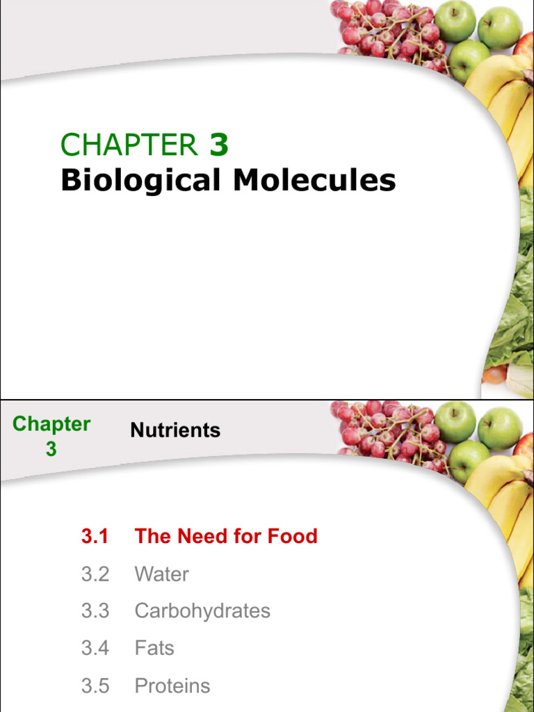 Chapter 3 Biological Molecules 2 | PDF | Carbohydrates | Glucose