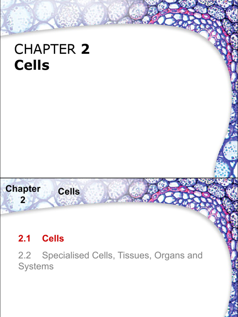 Chapter 2 Cells 2 | PDF | Cell (Biology) | Tissue (Biology)