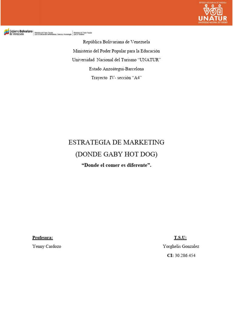 Informe Marketin Donde Gaby | PDF