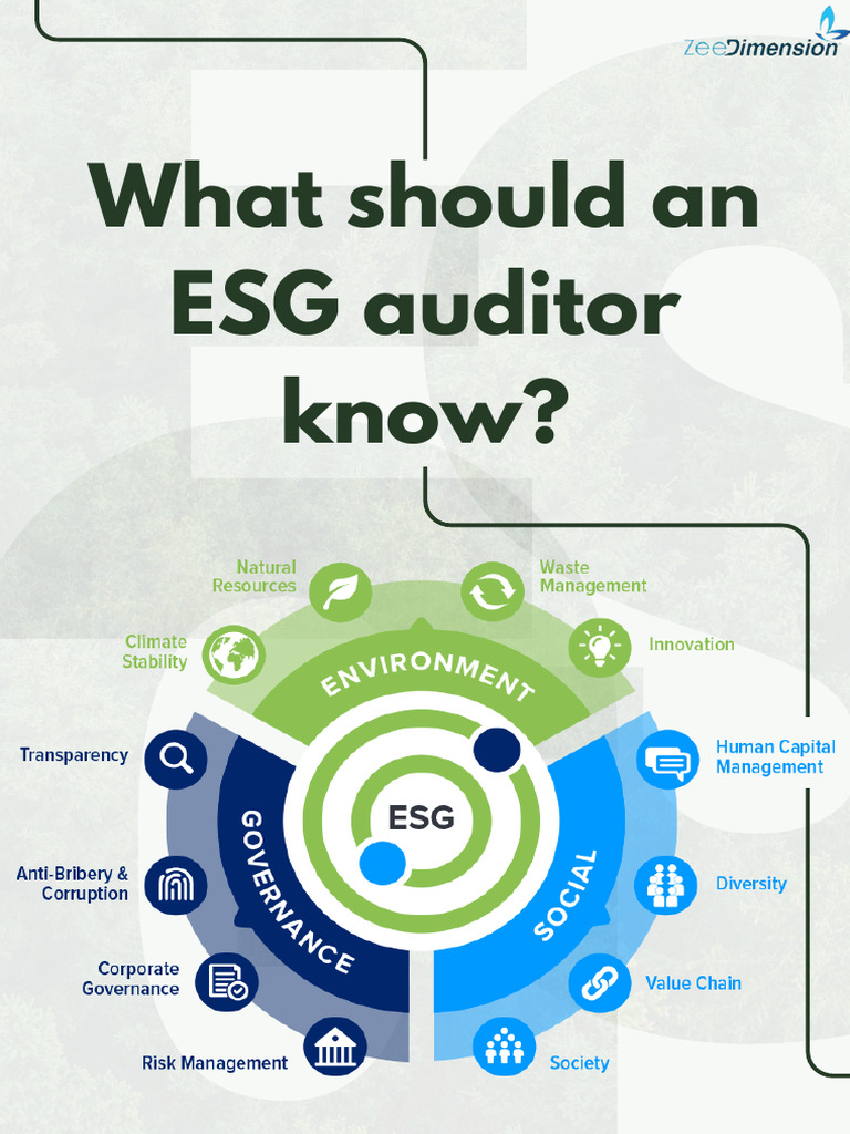 What Should An ESG Auditor Know? | PDF | Natural Environment | Economy ...