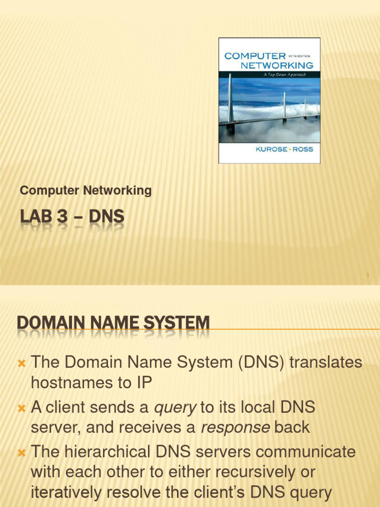 03 - Wireshark - DNS | PDF | Domain Name System | Port (Computer Networking)
