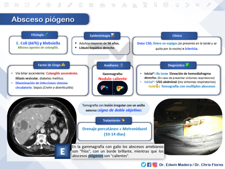 Absceso Piógeno: Diagnóstico y Tratamiento | PDF