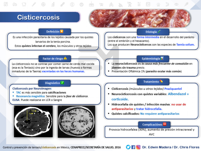 Prevención y diagnóstico de cisticercosis | PDF | Enfermedades y ...