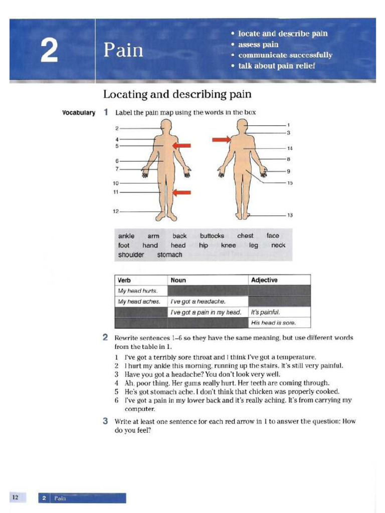 Part of Human Body | PDF