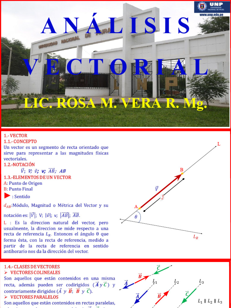 Vectores Pesq | PDF | Vector Euclidiano | Escalar (Matemáticas)