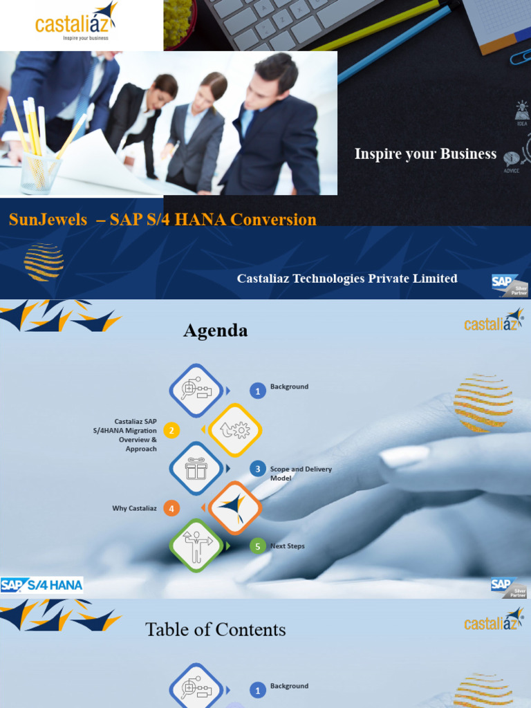 CTPL S4HANA Migration V3.0 | PDF | Software Testing | Specification ...