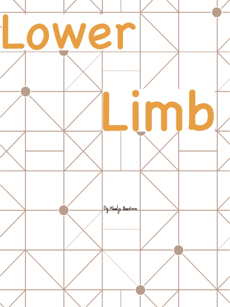 Lower Limb | PDF | Foot | Human Leg