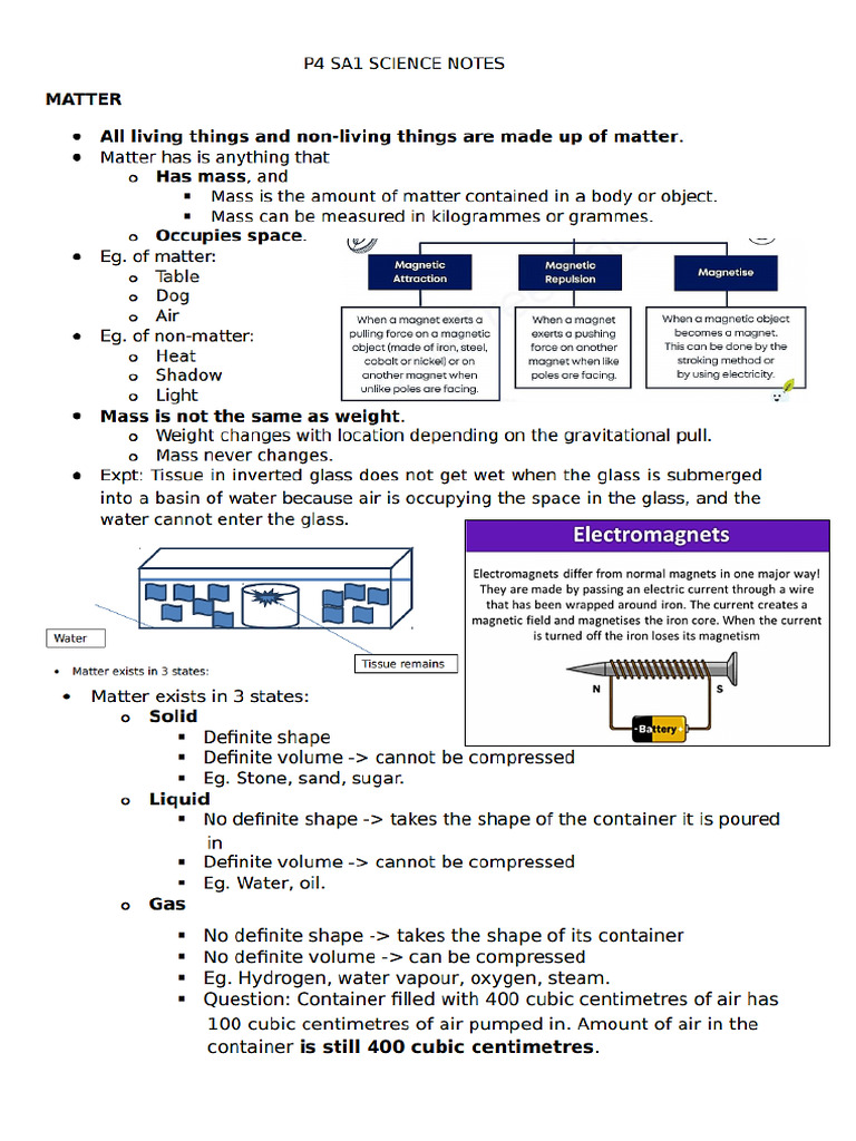 P4 Science SA1 Review | PDF
