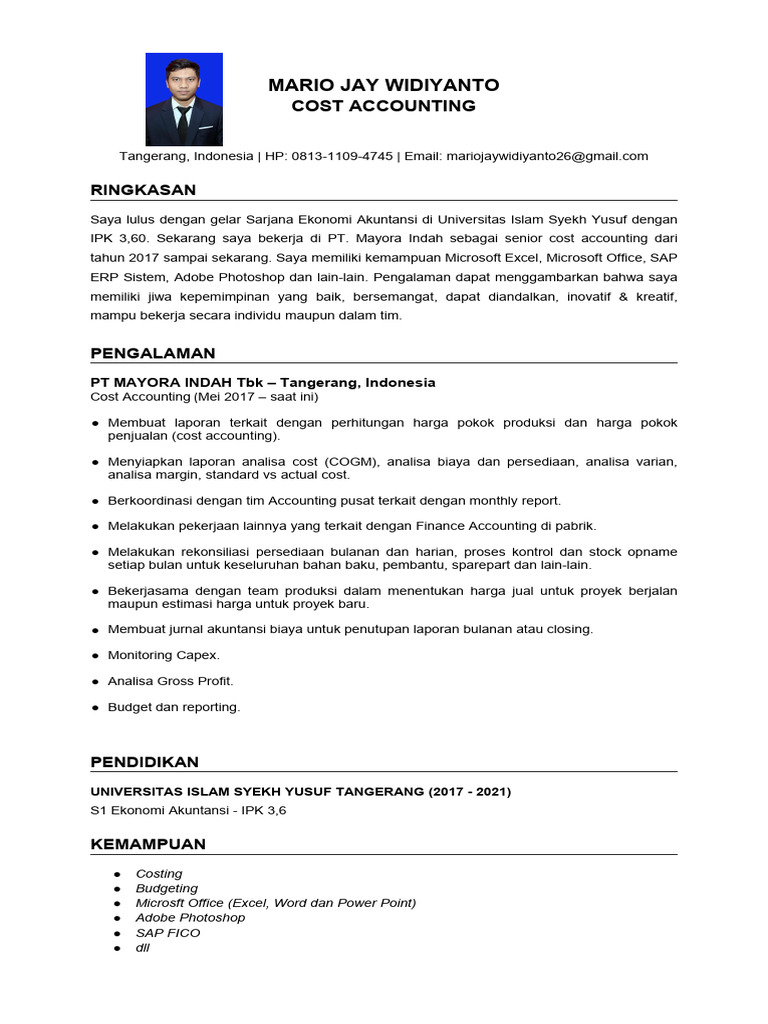 CV Mario I Foto | PDF