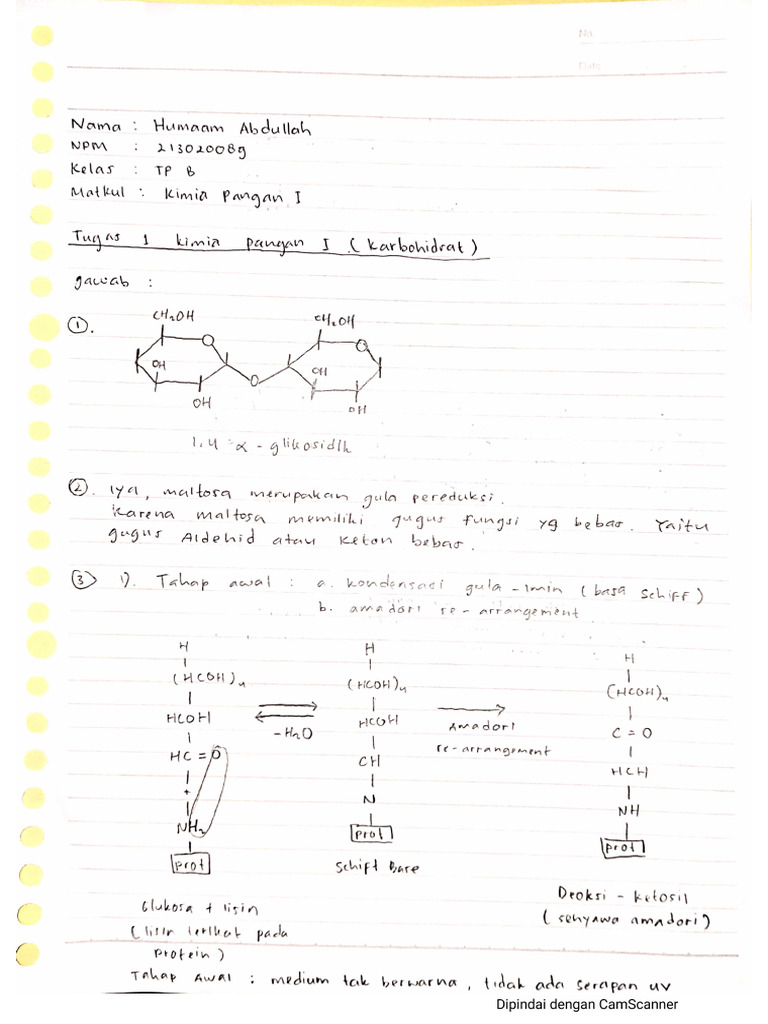 Tugas 1 Kimia Pangan I (Karbohidrat) | PDF