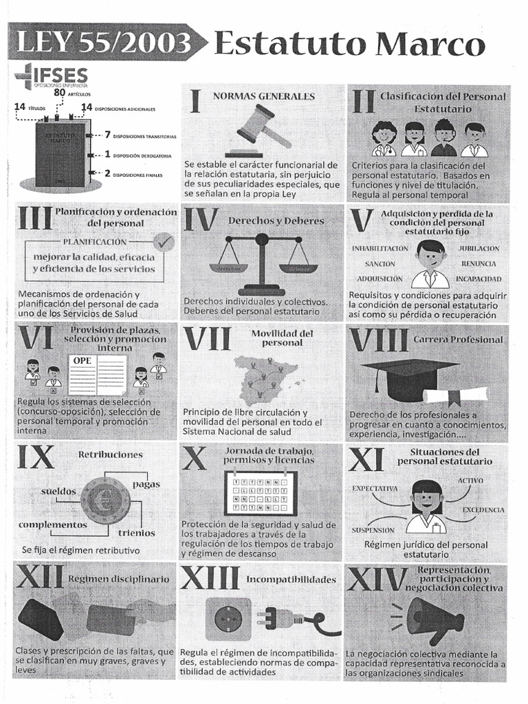 Esquema Ley Estatuto Marco | PDF