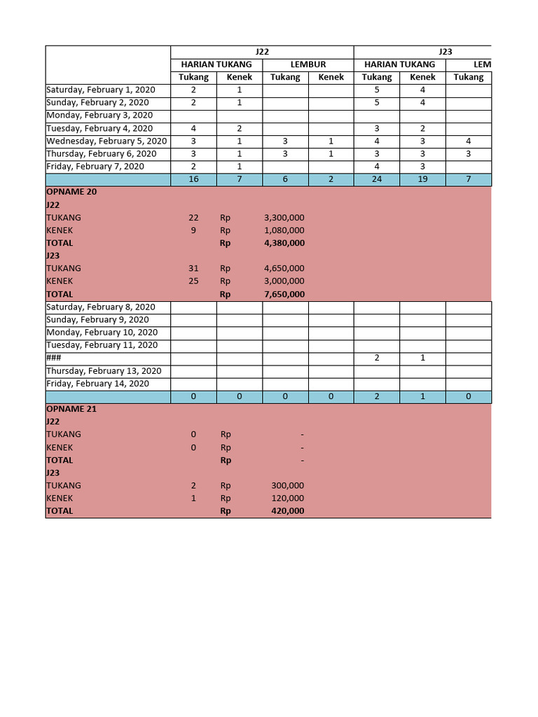 Opname Format Baru | PDF