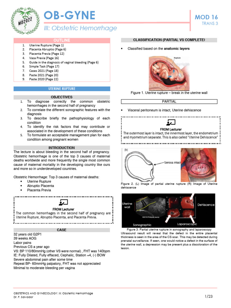 16.03 OBG Obstetric Hemorrhage Salvador | PDF | Uterus | Placenta