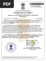 Caste Validity Form 15A Instructions | PDF