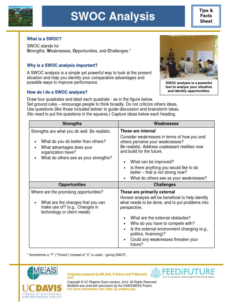 Tips and Facts A SWOC Analysis | PDF | Business | Self-Improvement