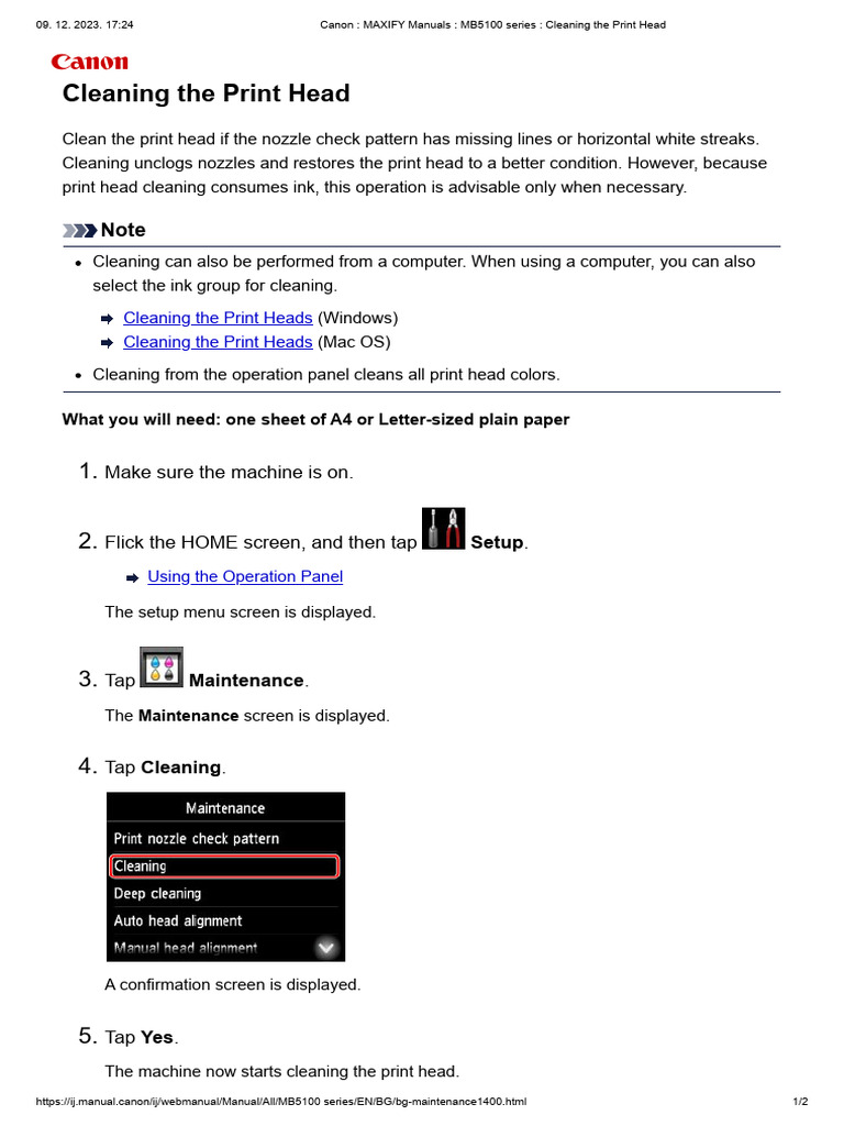 Canon - MAXIFY Manuals - MB5100 Series - Cleaning The Print Head | Download Free PDF | Printer ...