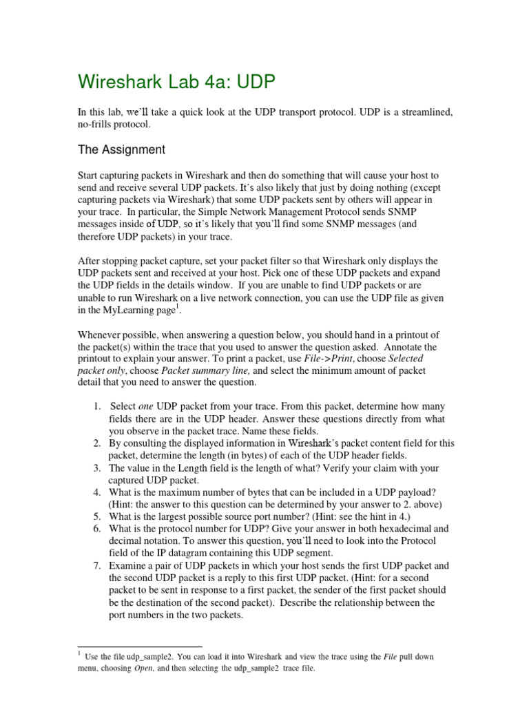 Lab4a UDP | PDF