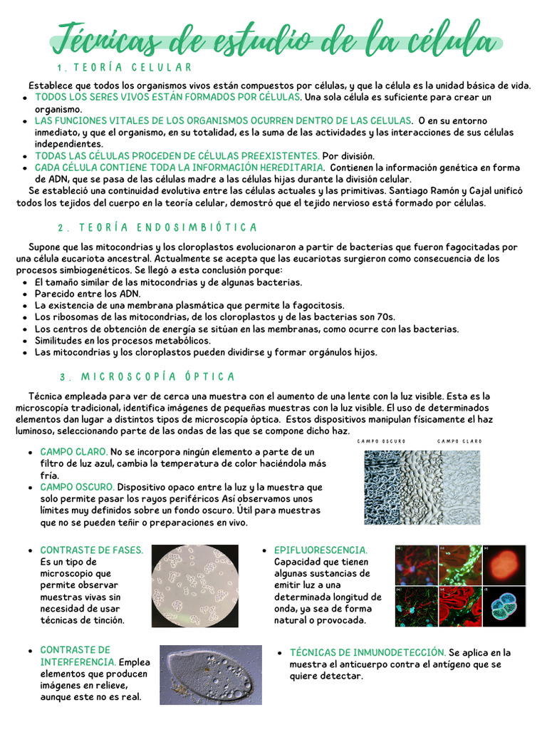 Better Together Script | PDF