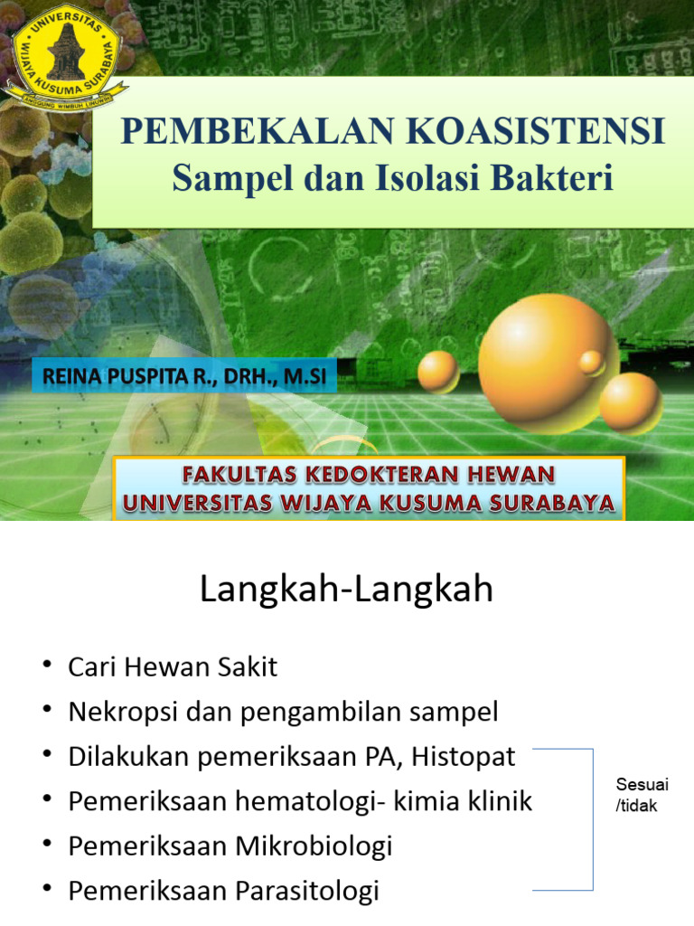 Sampel Dan Isolasi Bakteri | PDF