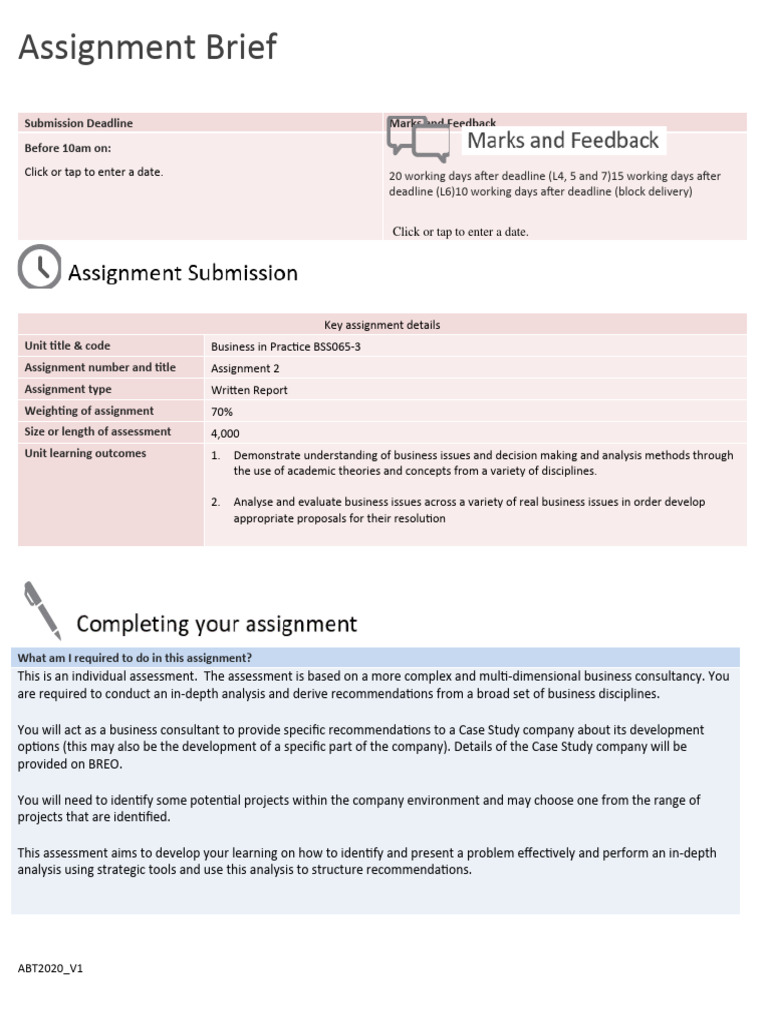 BSS065-3 Assessment 2 Brief | PDF | Analysis | Insight