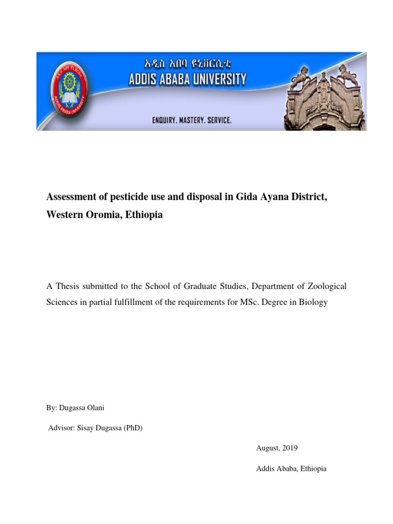 Dugassa Olani 2019 | PDF | Pesticide | Agriculture