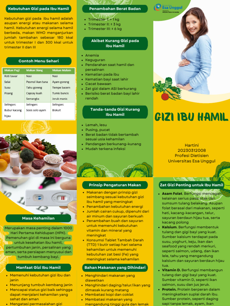Leaflet Gizi Ibu Hamil | PDF