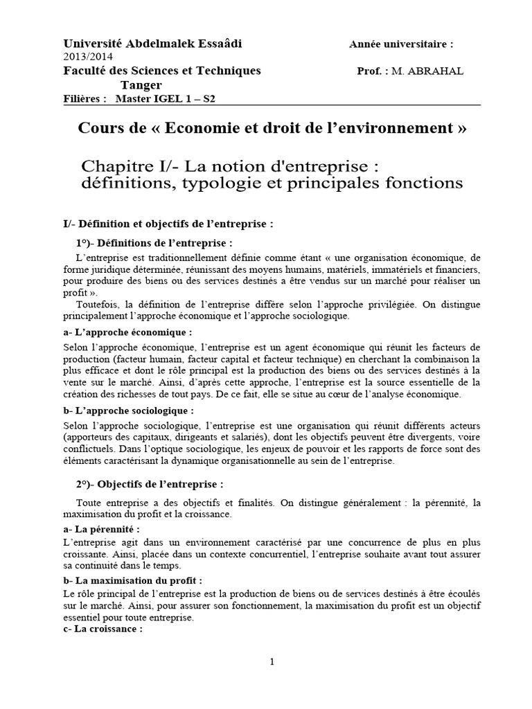 Chapitre I - La Notion D'entreprise | PDF