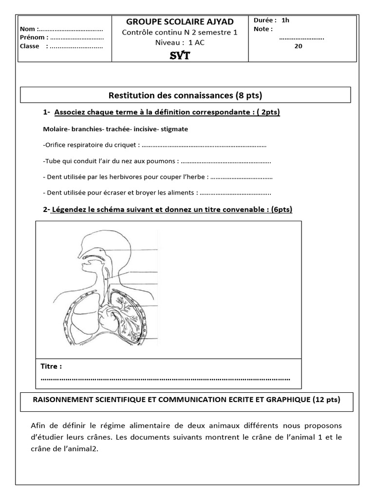 Devoir 2 Modele 6 SVT 1ac Semestre 1 | PDF