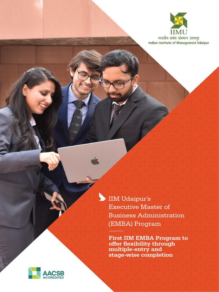 Flexible EMBA for Working Professionals | PDF | Master Of Business ...