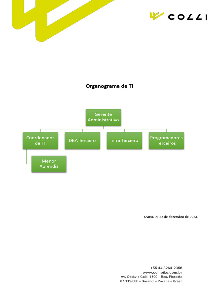 Organograma TI | PDF