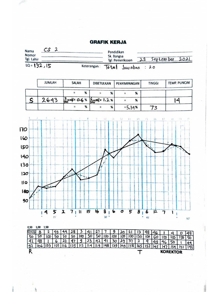 Grafik Kerja Tes Pauli | PDF