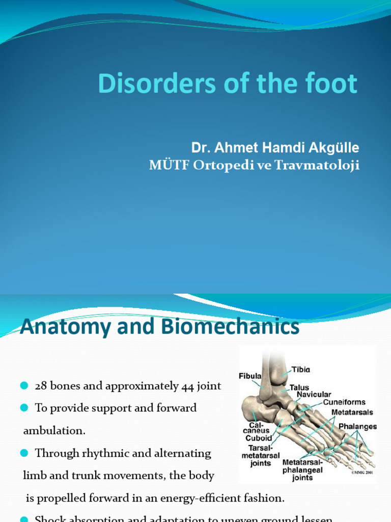 Foot Disorders and Treatments | PDF | Foot | Toe