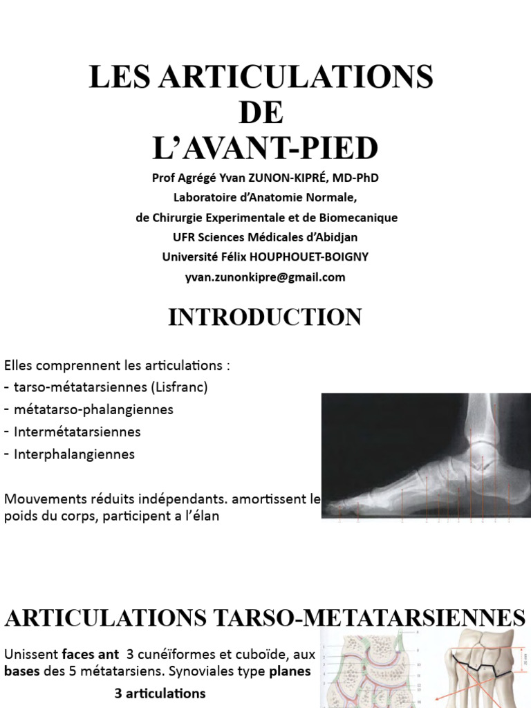 Articulations de L'avant-Pied | PDF