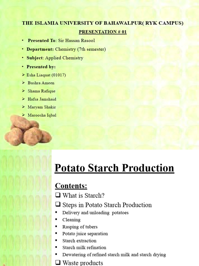 Potato Starch | PDF | Starch | Chemistry