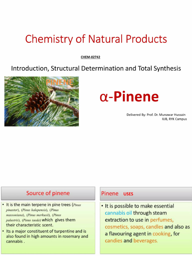 Lecture - Alpha Pinene | PDF
