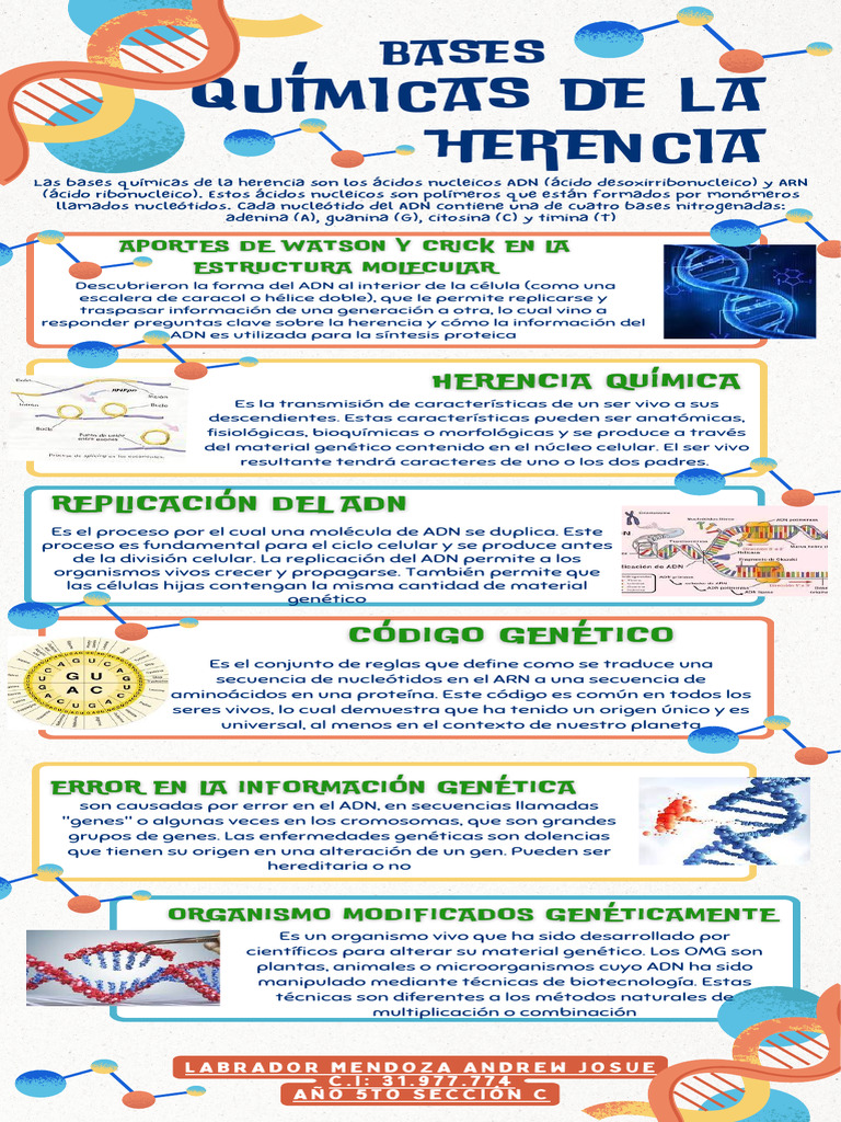 Infografia Andrew Labrador | PDF | Adn | Genética