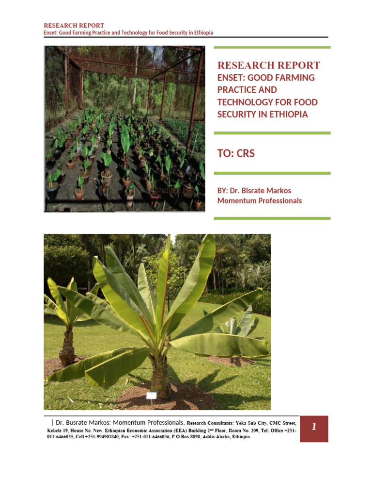 DRAFT Reserch Report Ensete and Good Farming Practice and Technology ...